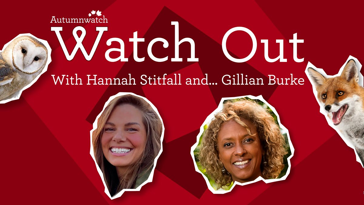 Autumnwatch - Watch Out with Hannah Stitfall and Gillian Burke - BBC ...