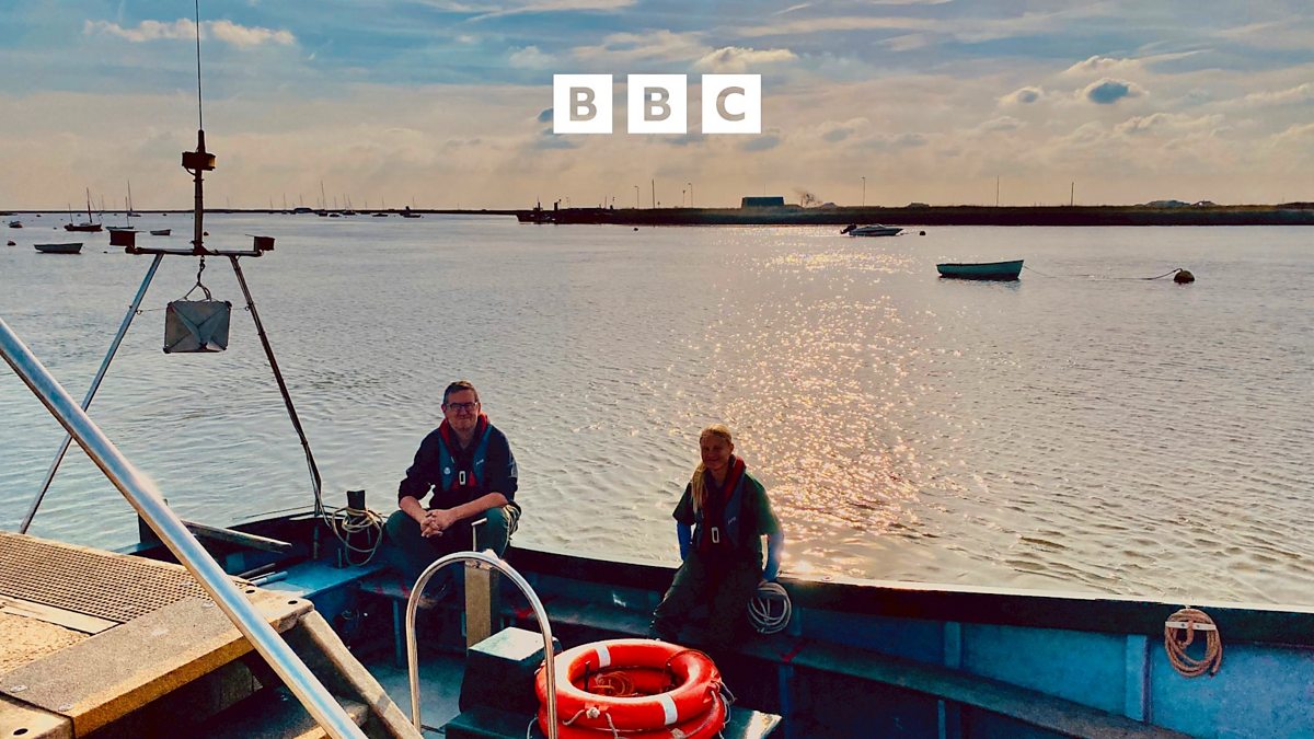 BBC Radio Suffolk - Luke Deal, 22/09/2022, Bumper Breeding Wading Birds ...