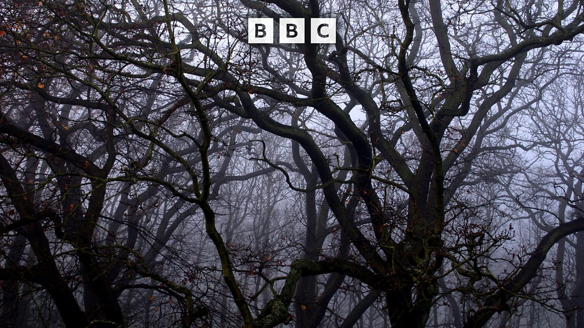 BBC Radio 4 - Short Cuts, The Witching Hour