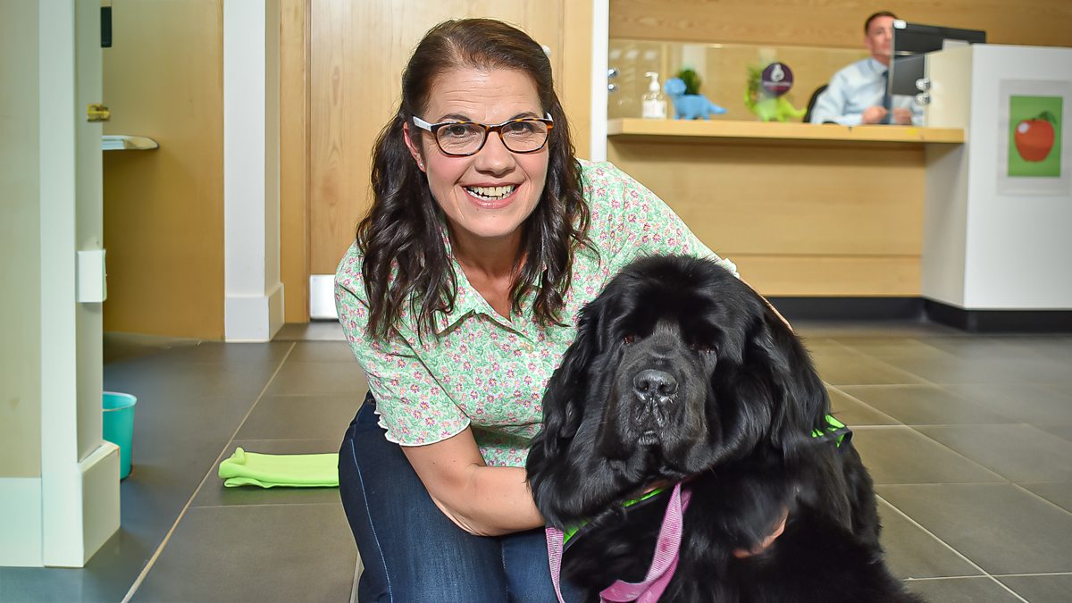 BBC iPlayer - Dog Squad - Series 1: 6. Mission: Bandage Team