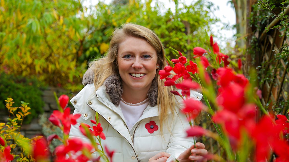 Beechgrove Garden - Beechgrove Gardens in Winter: Episode 2 - BBC iPlayer