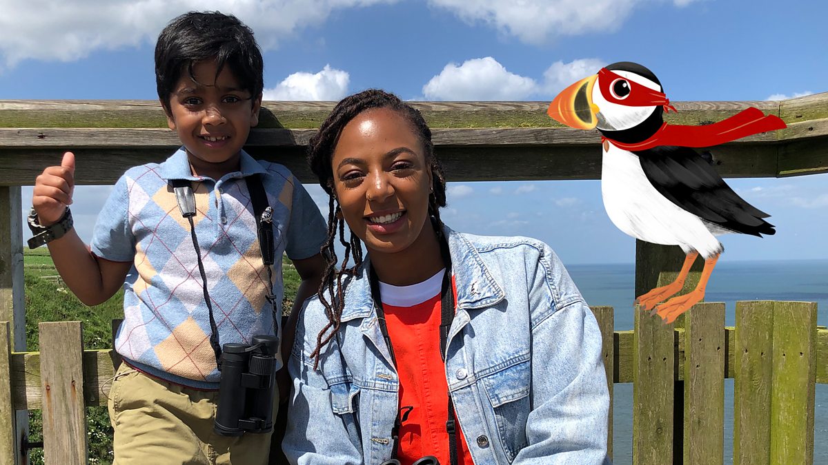 CBeebies - Teeny Tiny Creatures, Series 3 - Chantelle and Rory, Puffins
