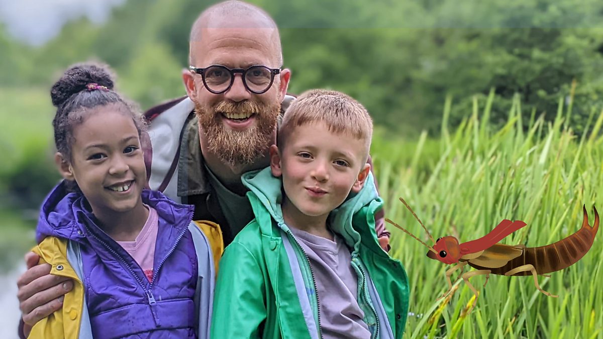 Teeny Tiny Creatures - Series 3 - Chantelle and Rory: 5. Earwigs - BBC ...