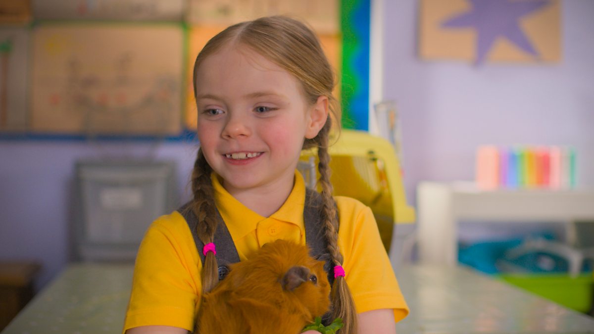 Olga da Polga - Series 1: 7. Olgas Got Talent - BBC iPlayer