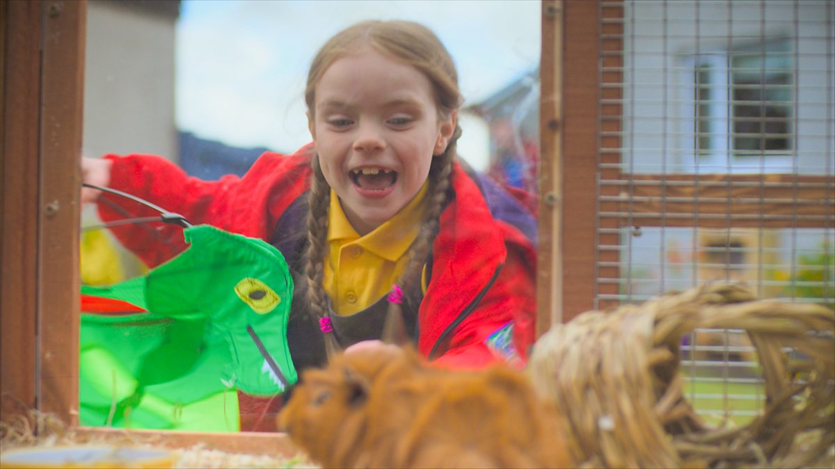 Olga da Polga - Series 1: 9. Olga and the Dragon - BBC iPlayer