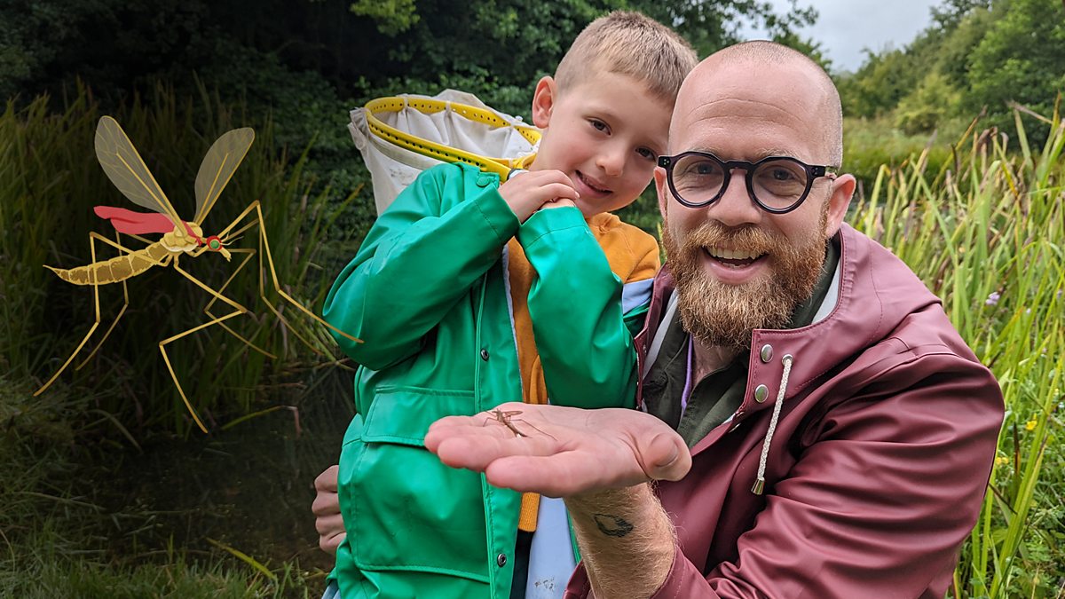 Teeny Tiny Creatures - Series 3 - Chantelle and Rory: 9. Crane Flies ...