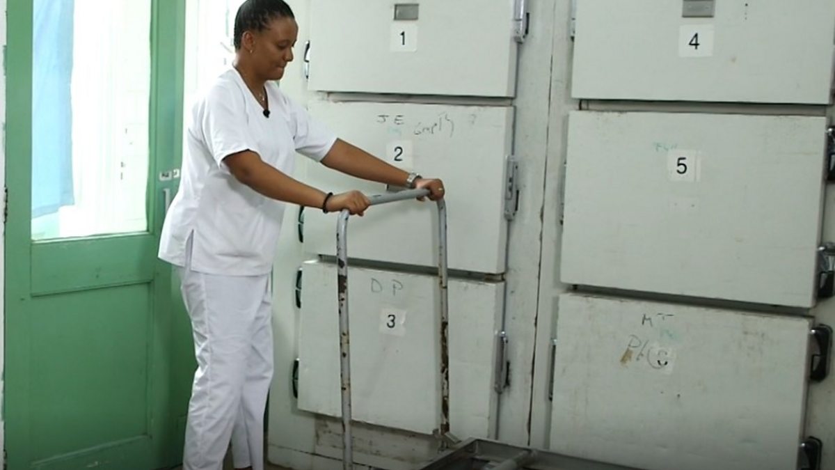 BBC World Service TV - Life Clinic, Lisa Ferley: Seychelles' only ...