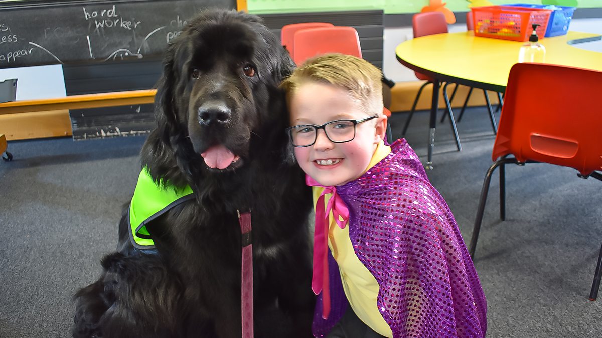 BBC iPlayer - Dog Squad - Series 1: 12. Mission: Magic Show