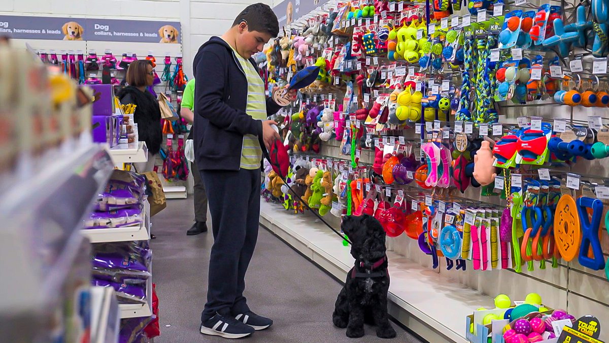 BBC iPlayer - Dog Squad - Series 1: 13. Mission: Pet Shop