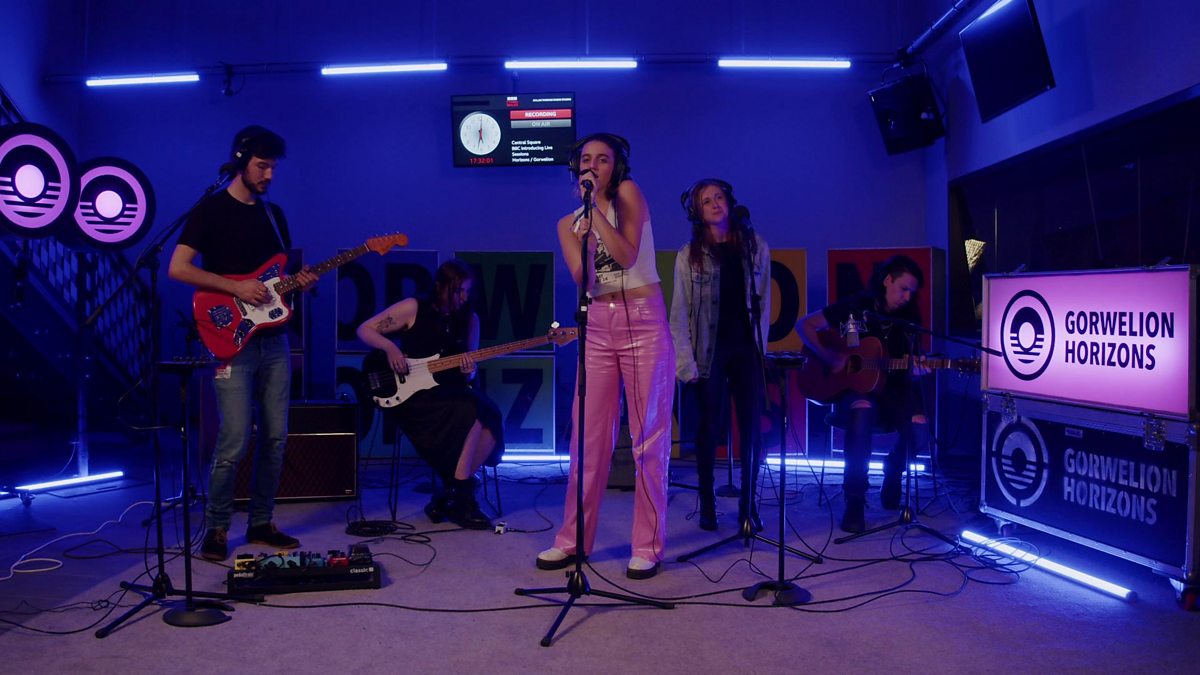 BBC Wales - Horizons, Aderyn - Honey