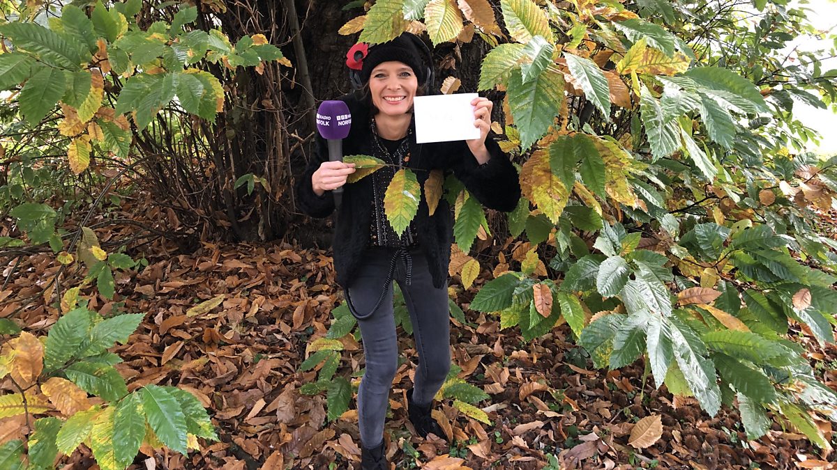 BBC Radio Norfolk - Treasure Quest, With Julie Reinger and Anna Perrott ...