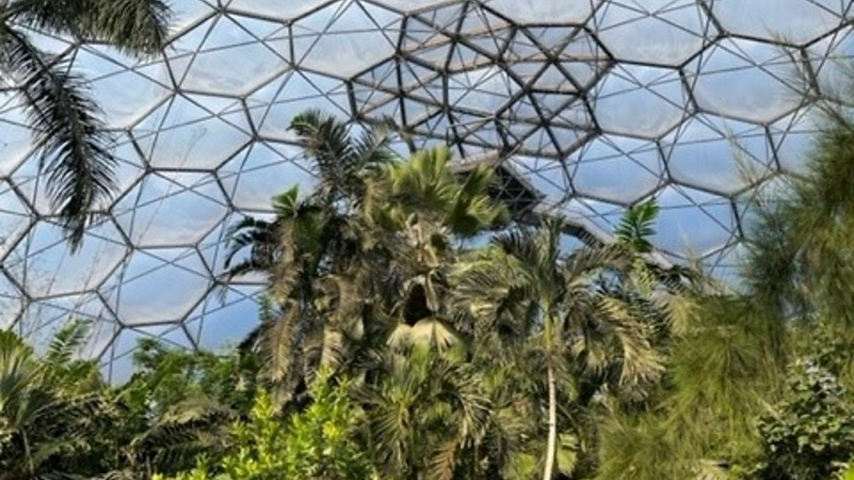 BBC Radio Cumbria - Simon Yaxley, Susan Davies from Penrith is in a ...