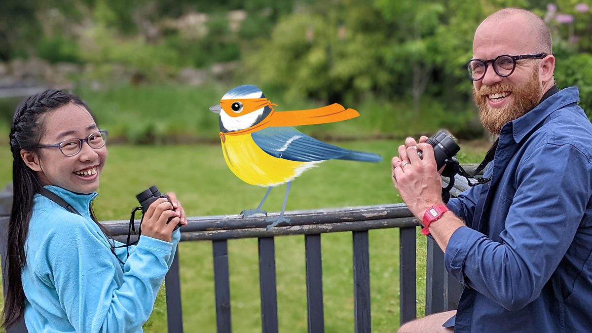 CBeebies - Teeny Tiny Creatures, Series 3 - Chantelle and Rory, Blue Tits