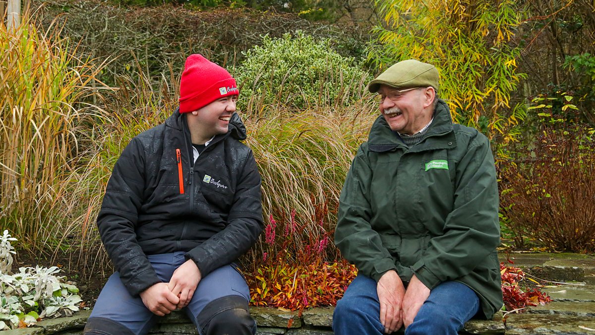 Beechgrove Garden - Beechgrove Gardens in Winter: Episode 4 - BBC iPlayer