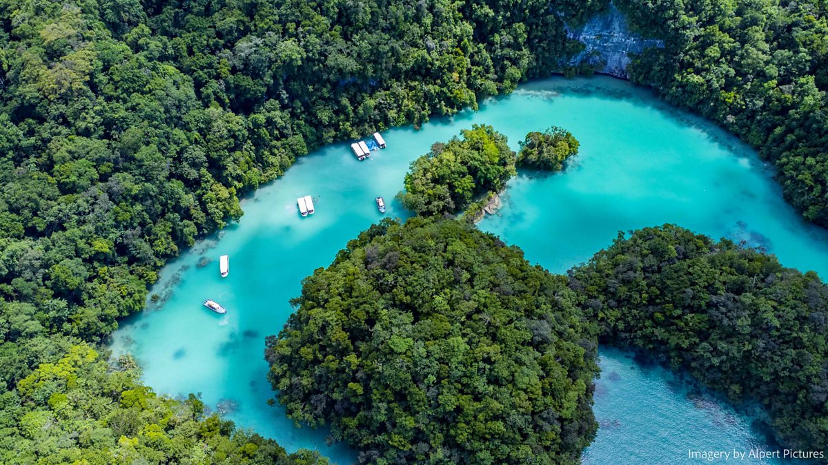 BBC World Service - Newsday, How is Palau protecting it's environment ...