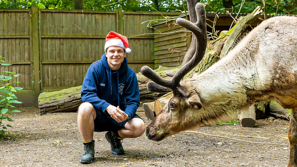 One Zoo Three - Series 2: 15. Winter Wonderland - BBC iPlayer