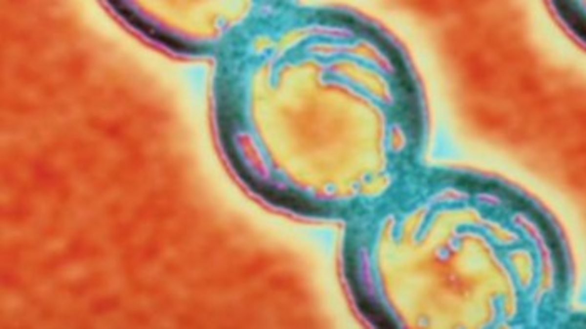 BBC Radio Cornwall - James Churchfield, 07/12/2022, Strep A - what ...