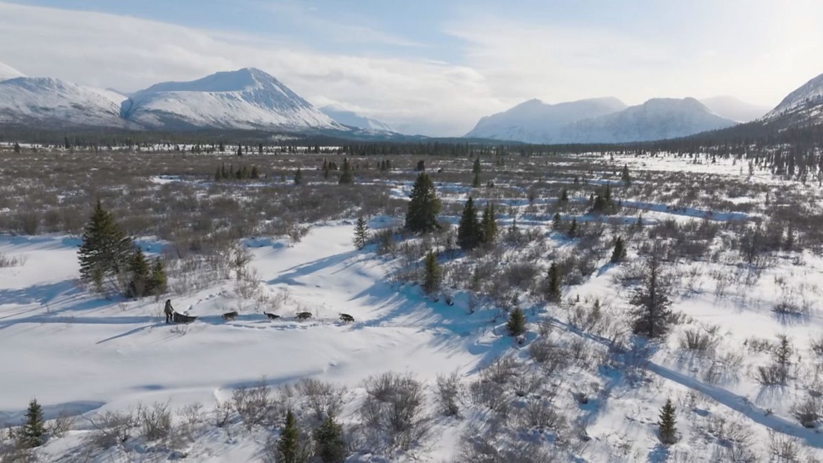 BBC Two - BBC Two Trailers, Celebrate this Christmas on BBC Two