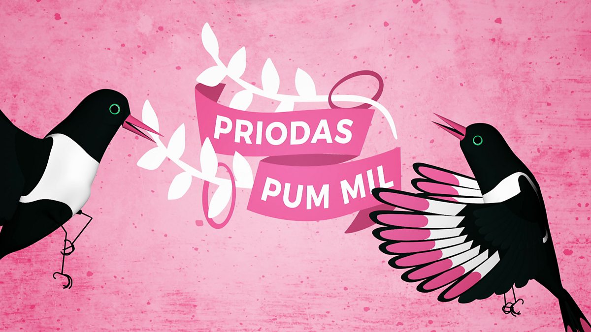 Priodas Pum Mil - BBC iPlayer