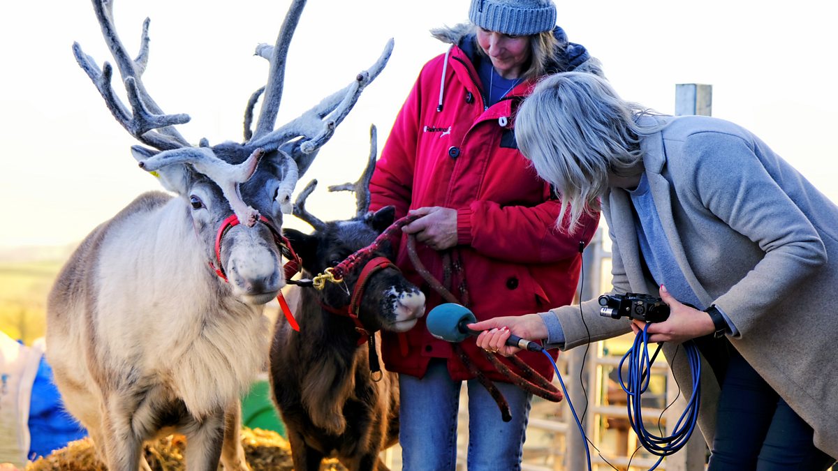 BBC Radio Ulster - Alright, Pet?, Series 2, Presents for pets and ...