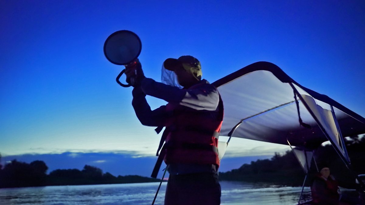 BBC One - Dogs in the Wild: Meet the Family, Series 1, Defending Wild ...