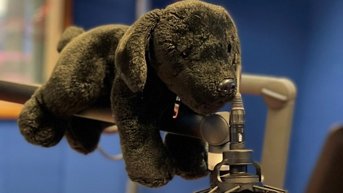 BBC Radio Northampton - Annabel Amos, 22/12/2022, Northampton family's ...