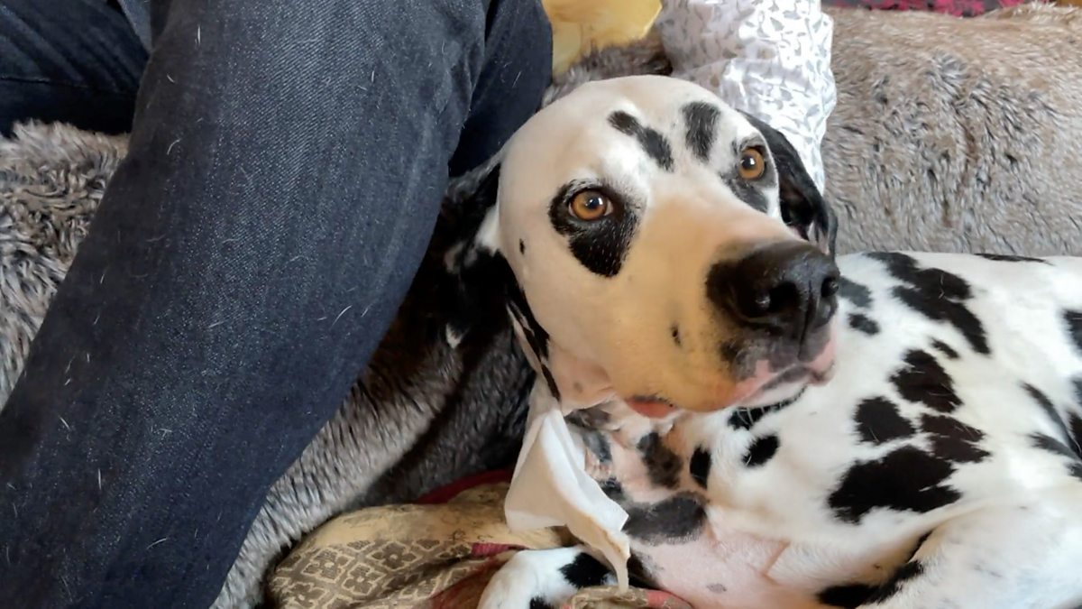 BBC Three Counties Radio - Roberto Perrone, Would you pay your family ...