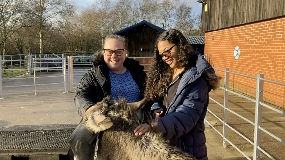 BBC Radio Manchester - Joe McGrath, First Breath (30/12/2022), How ...