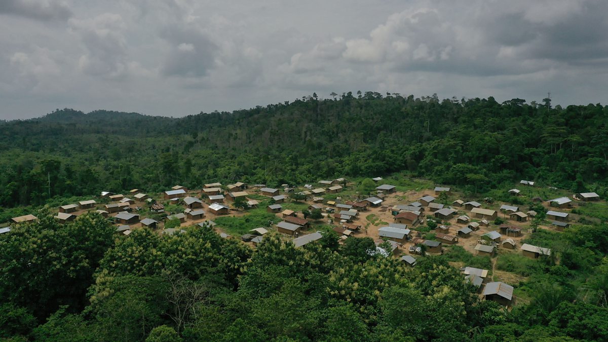 BBC World Service - Newsday, Nigeria forest conservationists 'receive ...