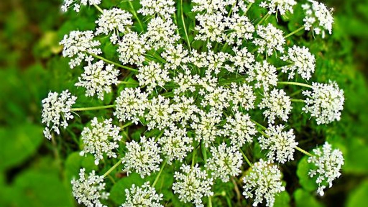 BBC Radio Wiltshire - Graham Rogers on BBC Radio Wiltshire, 03/01/2023 ...