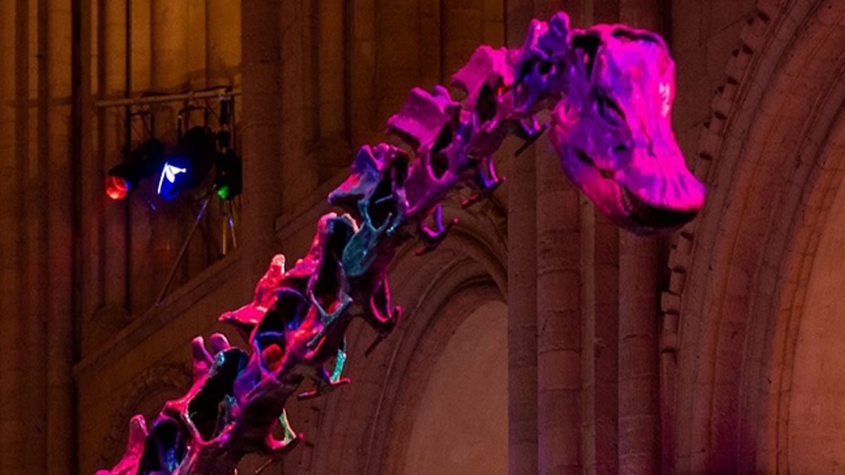 BBC CWR - Vic Minett, Brody Swain sits in (04/01/2023), Dippy the ...