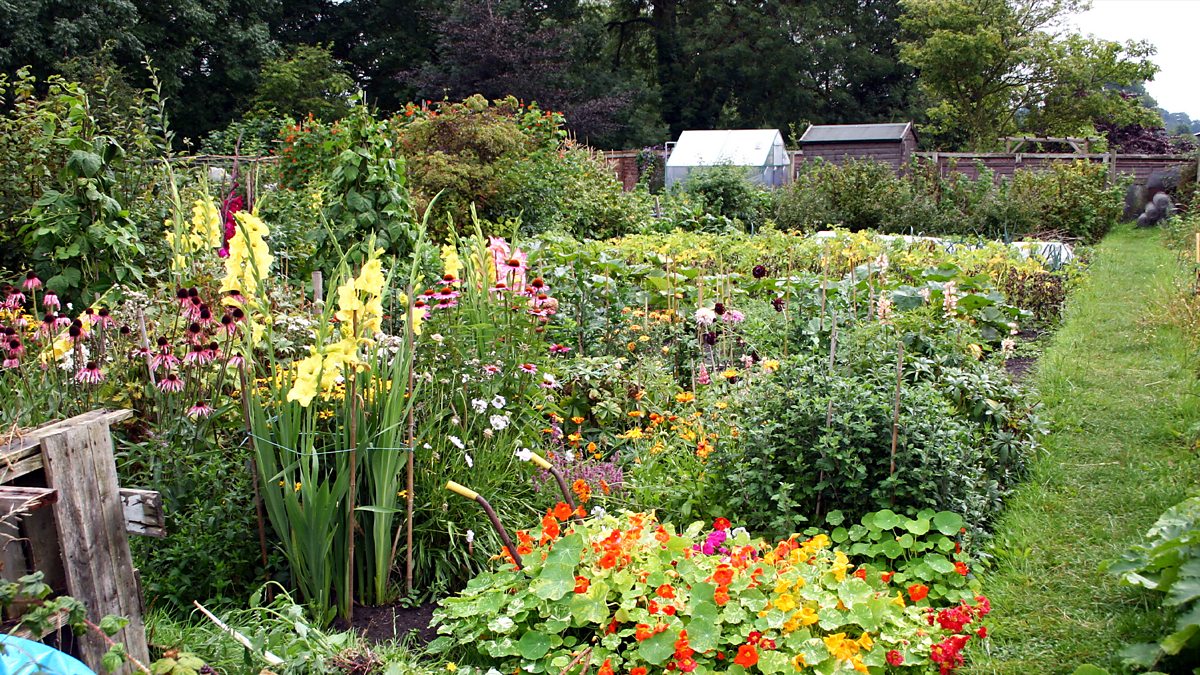 BBC Radio 4 - Gardeners' Question Time, Norfolk Broads