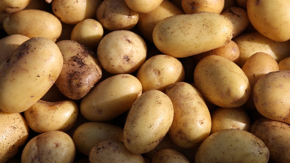 BBC Hereford & Worcester - Malcolm Boyden, The Potato Queen of Bromsgrove