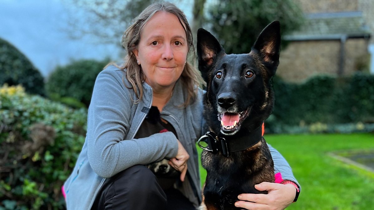 BBC Essex - Sonia Watson, Understanding Autism and Clever Dogs (12/01 ...