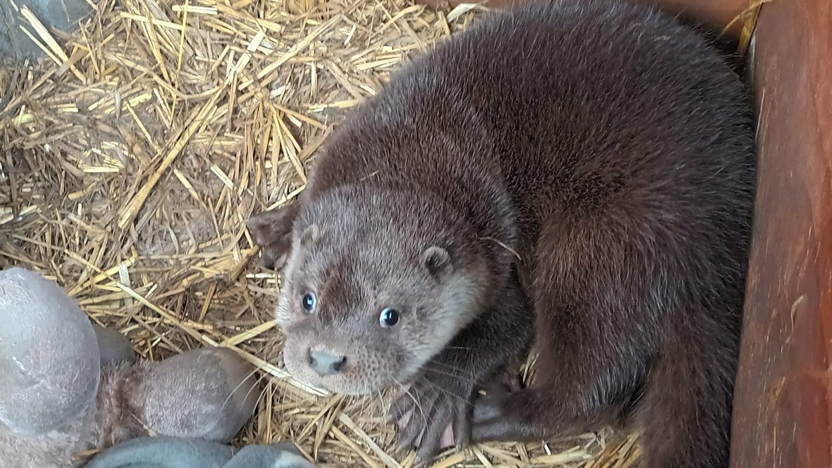 BBC Radio Devon - Pippa Quelch, Angela Kalwaites sits in (16/01/2023 ...