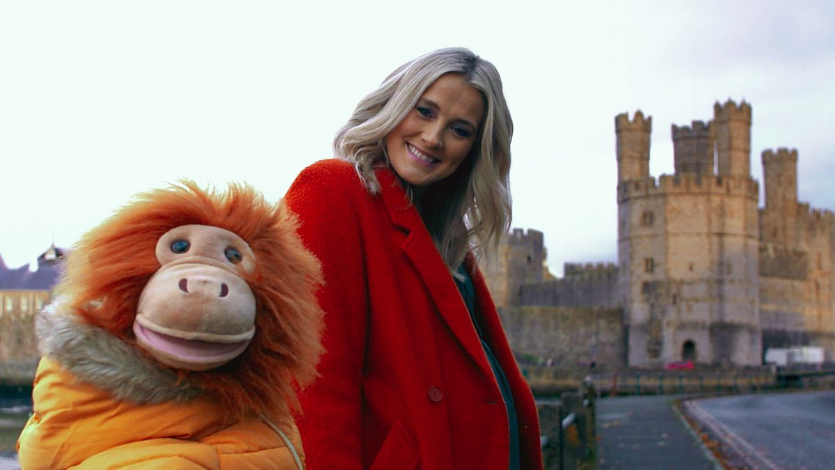 S4C - Noson Gomedi: Dathlu 40, Gareth! Dan y Lloer