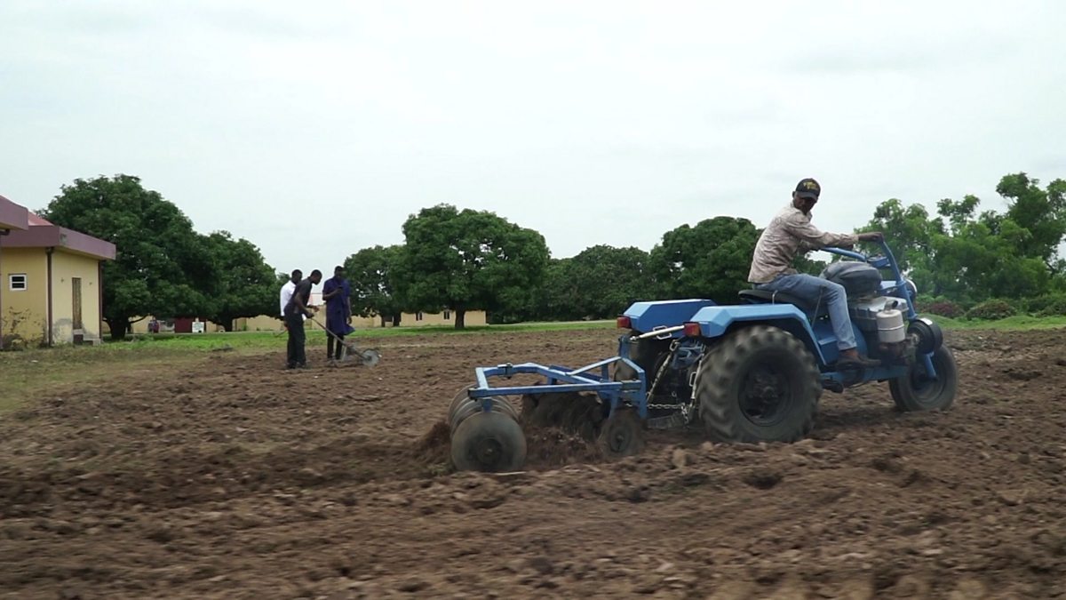 BBC World Service TV - Smart Money, Trying out the tricycle tractor ...