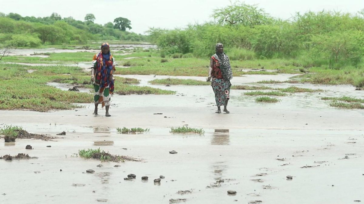 BBC World Service TV - Smart Money, Climate change is devastating ...