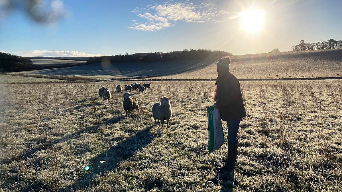 BBC Radio 4 - On Your Farm, Wool, women and winter