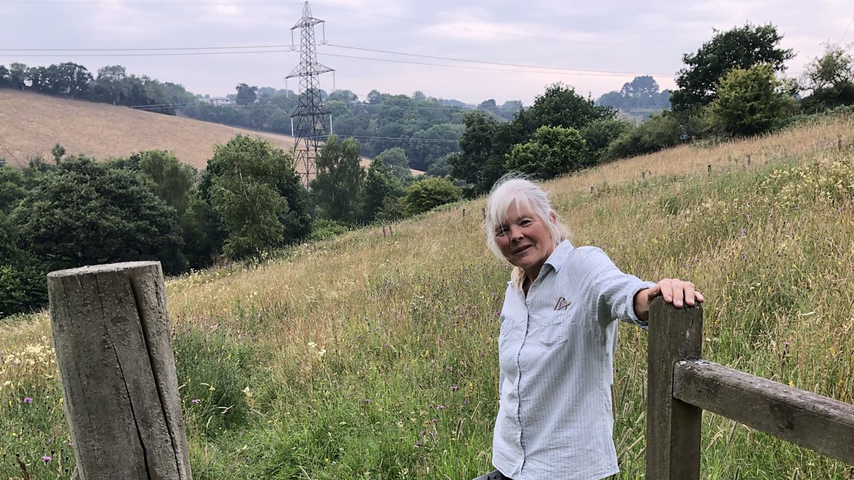 BBC Radio Devon - David FitzGerald, 23/01/2023, The 2023 BBC Radio ...