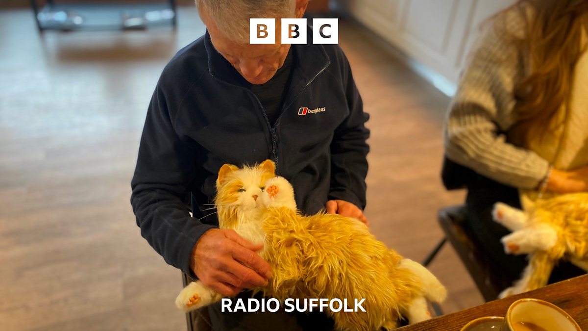 BBC Radio Suffolk - Luke Deal, Purrfectly purring robot cats