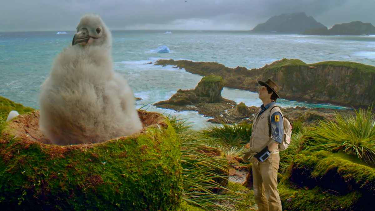 Andys Global Adventures - Series 1: 15. Andy and the Grey-Headed ...