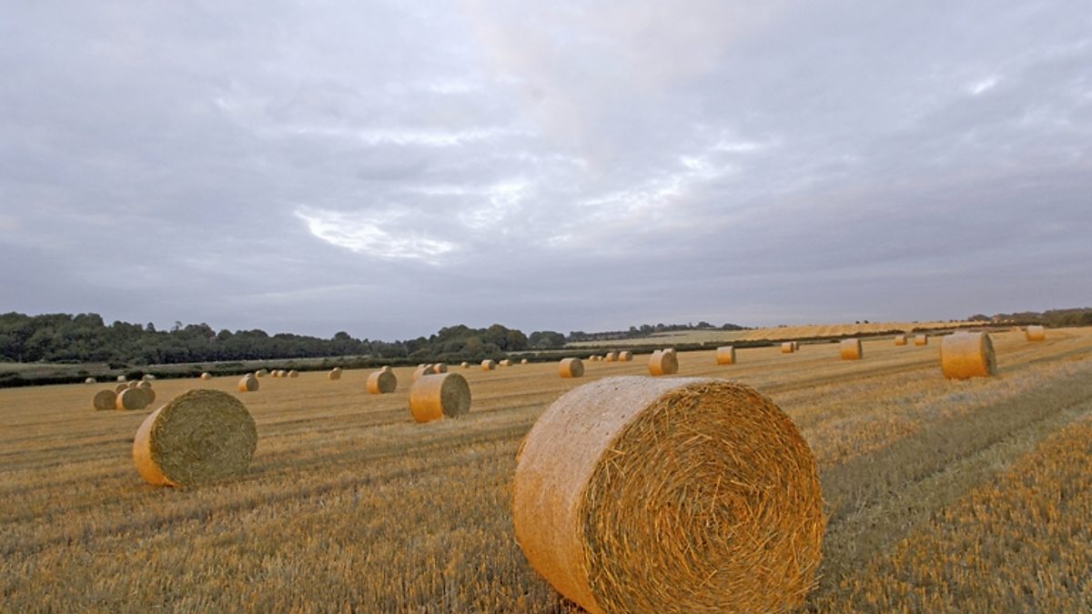 BBC - Here's some information and advice on exploring Britain's mines ...