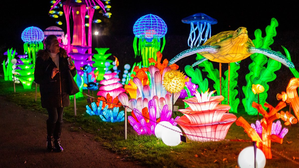 BBC Three Counties Radio - Danny Fullbrook, Let's learn Ukulele, Land ...