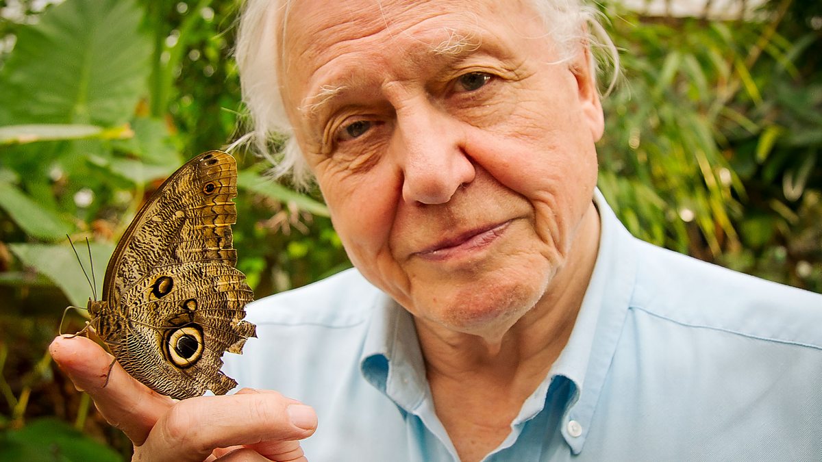 BBC Two - David Attenborough's Natural Curiosities - Episode guide