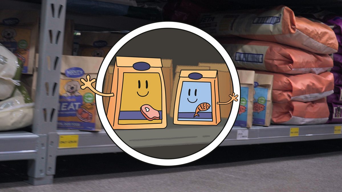 Dog Squad - Series 1: 13. Mission: Pet Shop - BBC iPlayer