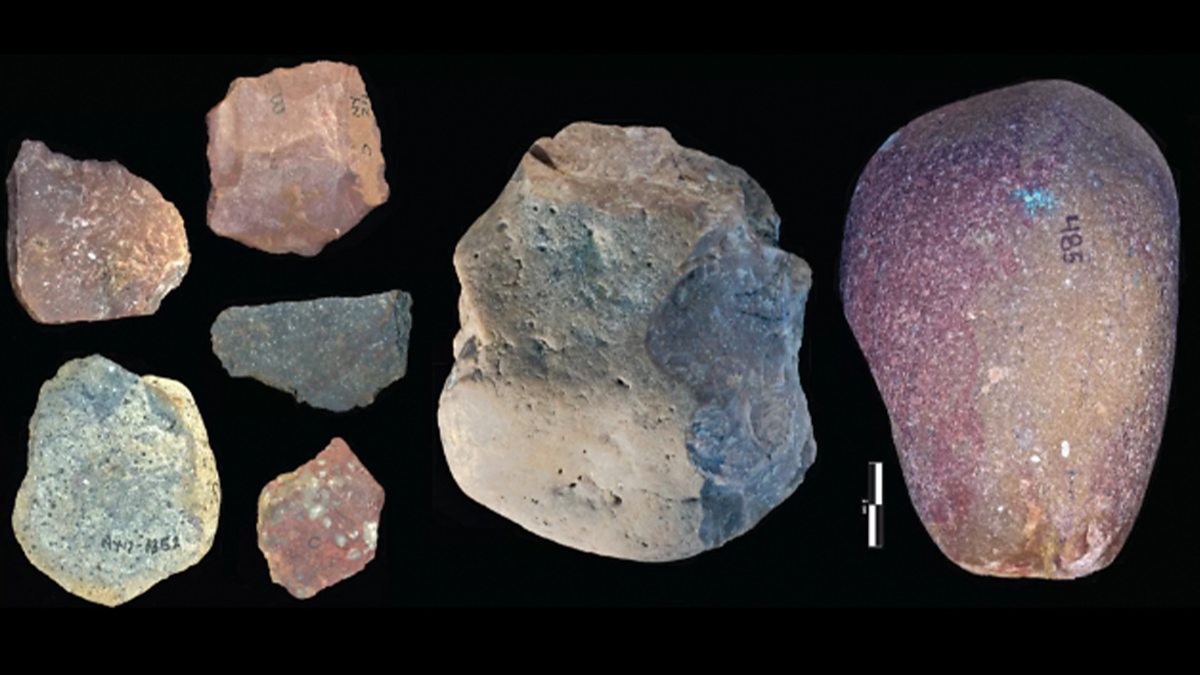 BBC World Service - Newshour, Ancient stone tools made by early humans ...