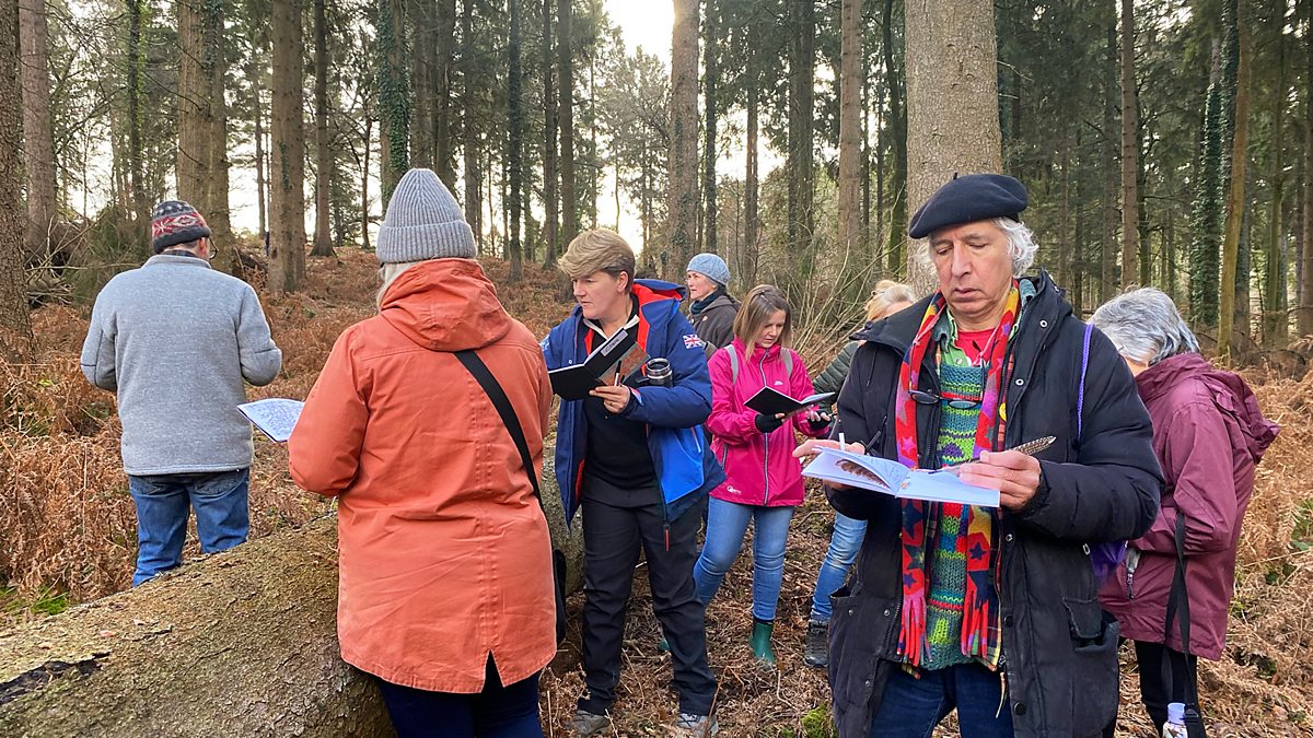 BBC Radio 4 - Ramblings, An Art Walk in the Forest of Dean