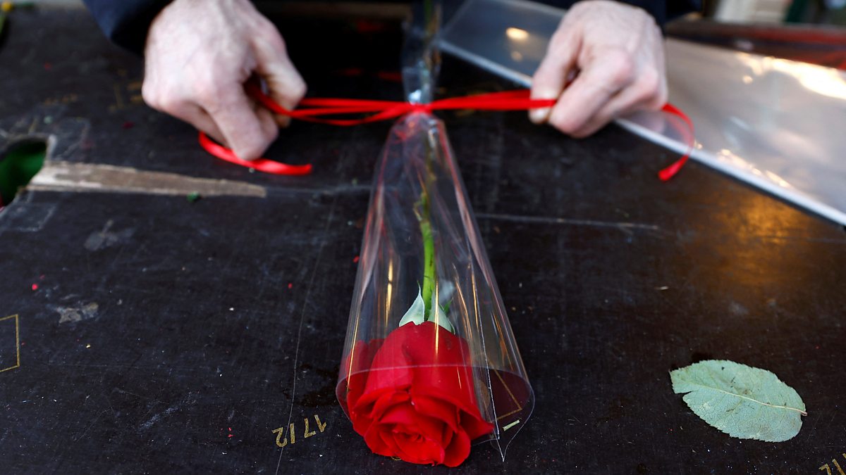 BBC Radio Cumbria - Mike Zeller, Where did the rhyme 'Roses are Red ...