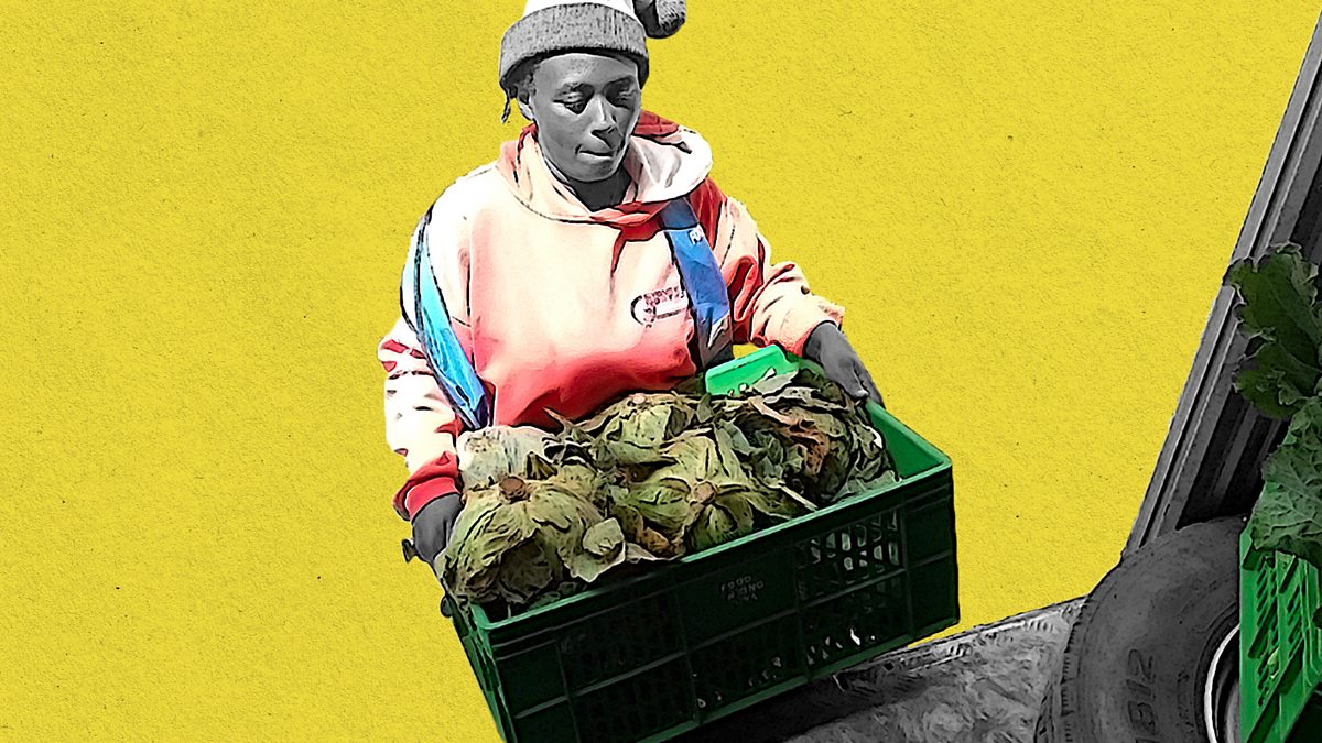 BBC World Service - The Food Chain, The growth of food banks in Africa